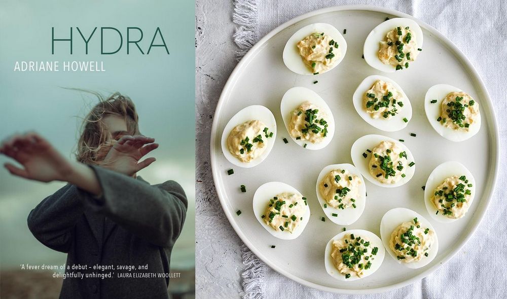 Stella Prize 2023 Shortlist – Hydra by Adriane Howell ...