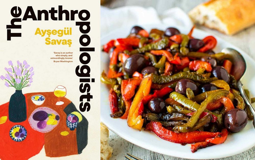 The Anthropologists by Aysegül Savaş | booksaremyfavouriteandbest