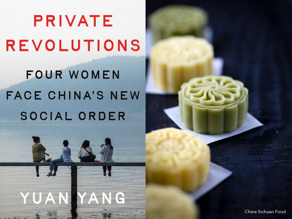 Private Revolutions by Yuan Yang | booksaremyfavouriteandbest